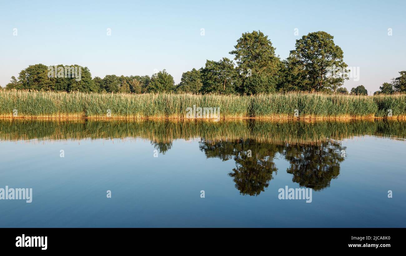 Landscape of the lagoon coast and its vegetation. Quiet evening ...