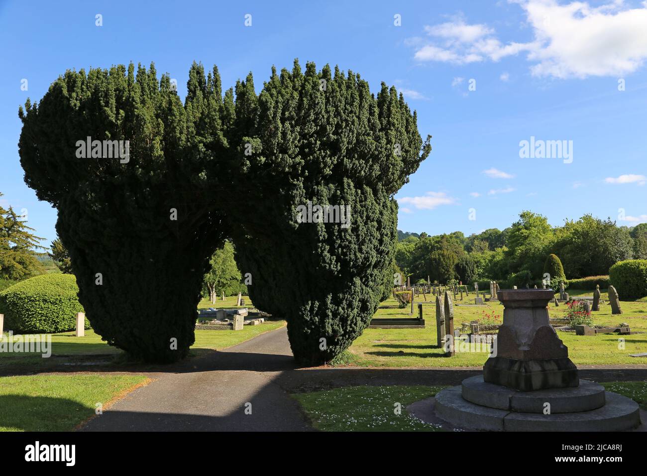 Yew tree cemetery uk hi-res stock photography and images - Alamy