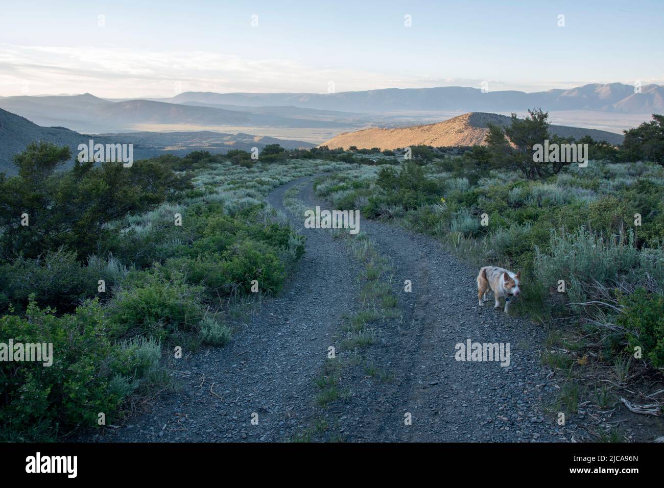 Fire roads give people a different viewpoint of Convict Lake in Mono ...