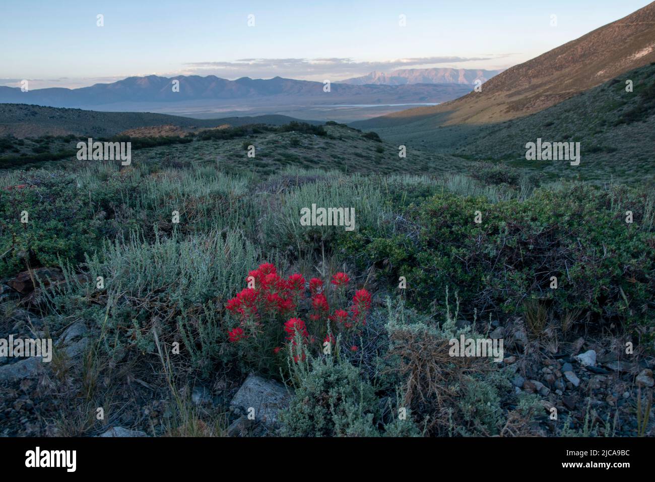 Fire roads give people a different viewpoint of Convict Lake in Mono ...