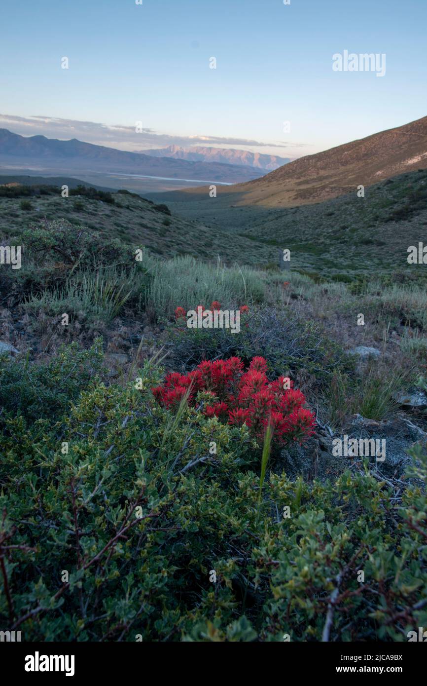 Fire roads give people a different viewpoint of Convict Lake in Mono ...