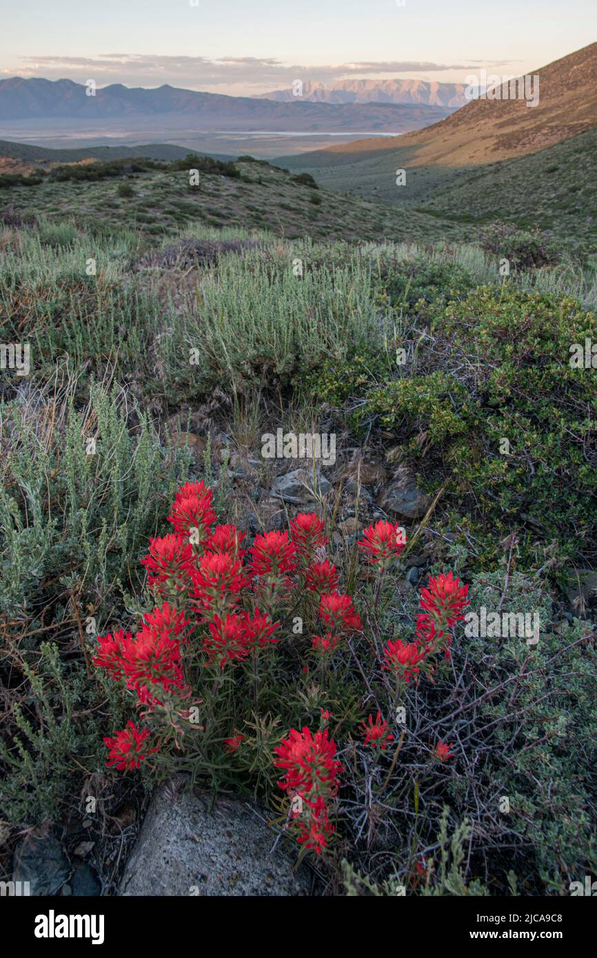 Fire roads give people a different viewpoint of Convict Lake in Mono ...