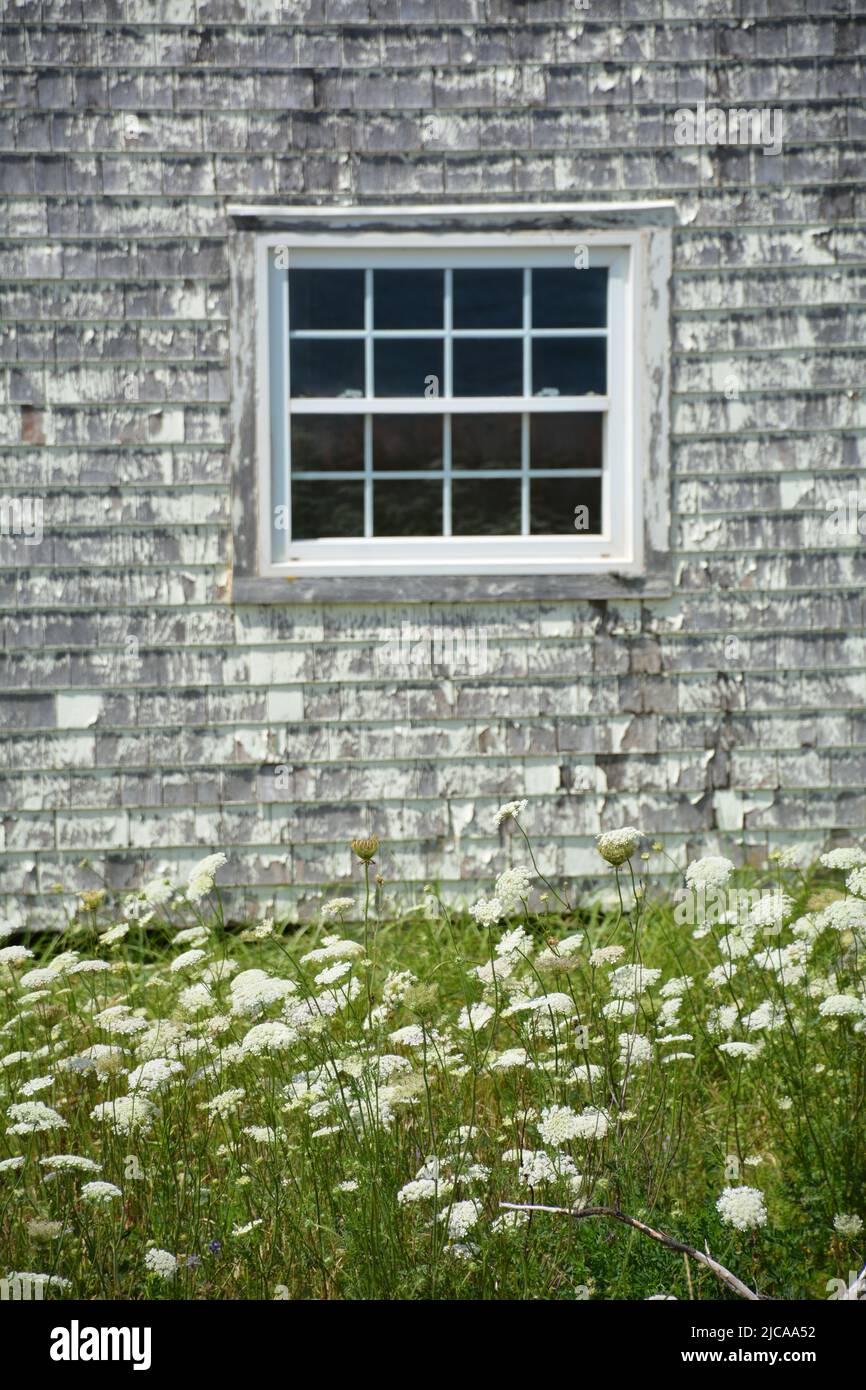 Shake sidings hi-res stock photography and images - Alamy