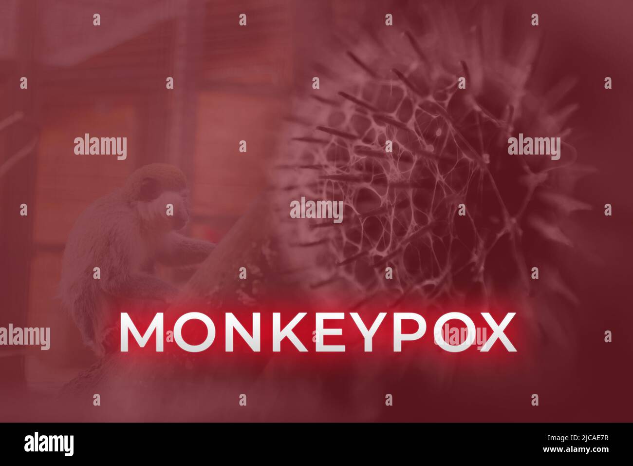 Monkeypox virus. Red background. Outbreak concept. Virus transmitted to ...