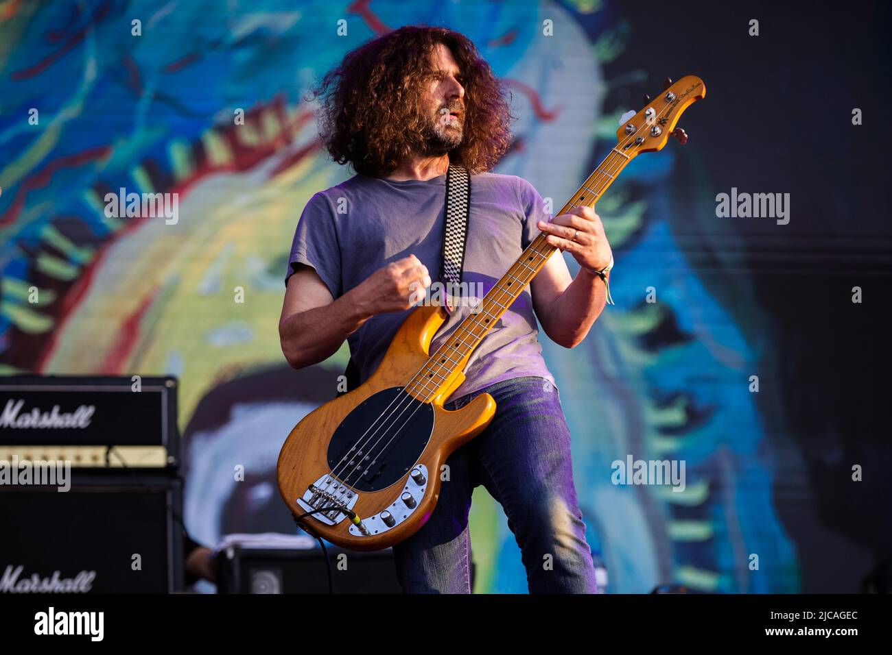 Lou Barlow from the american rock band, Dinosaur Jr., performs onstage ...