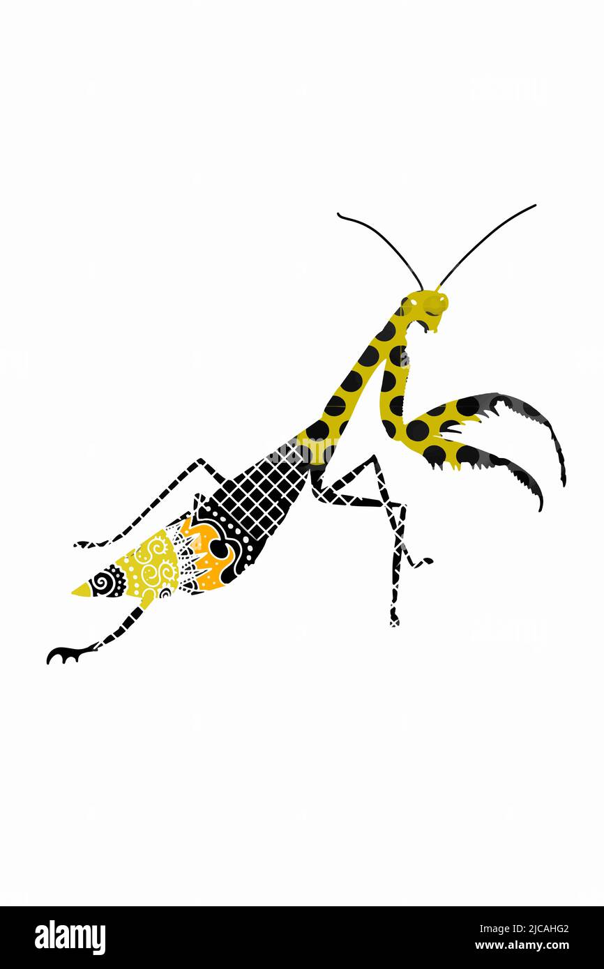 cute, cartoon mascot, mantis illustration drawing,isolated Stock Photo ...