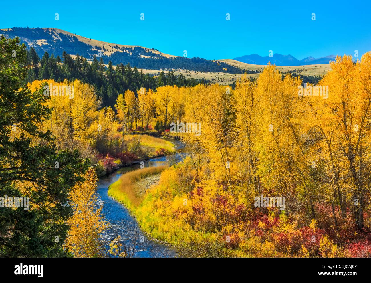 fall colors along the little blackfoot river, with peaks of the flint ...