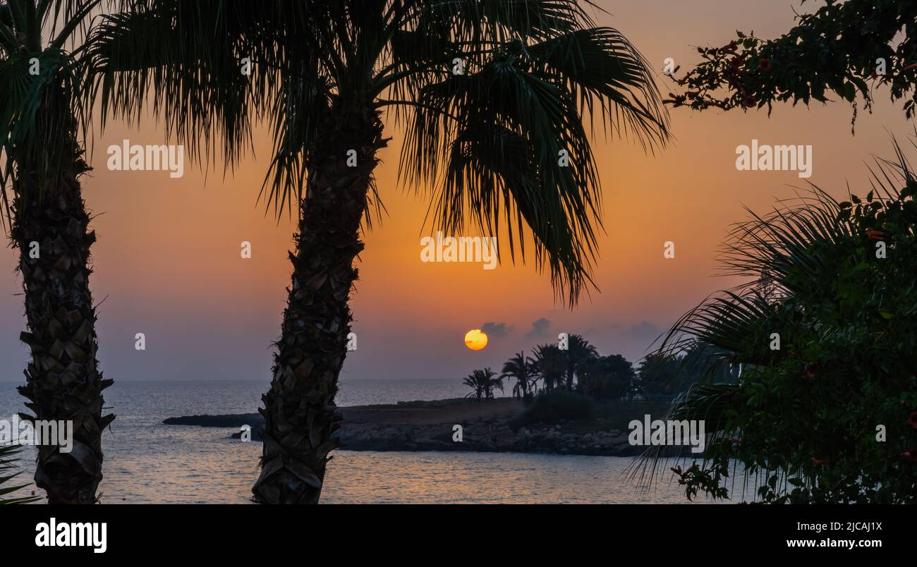 Early morning, sunrise among the palm trees of a tropical island Stock ...