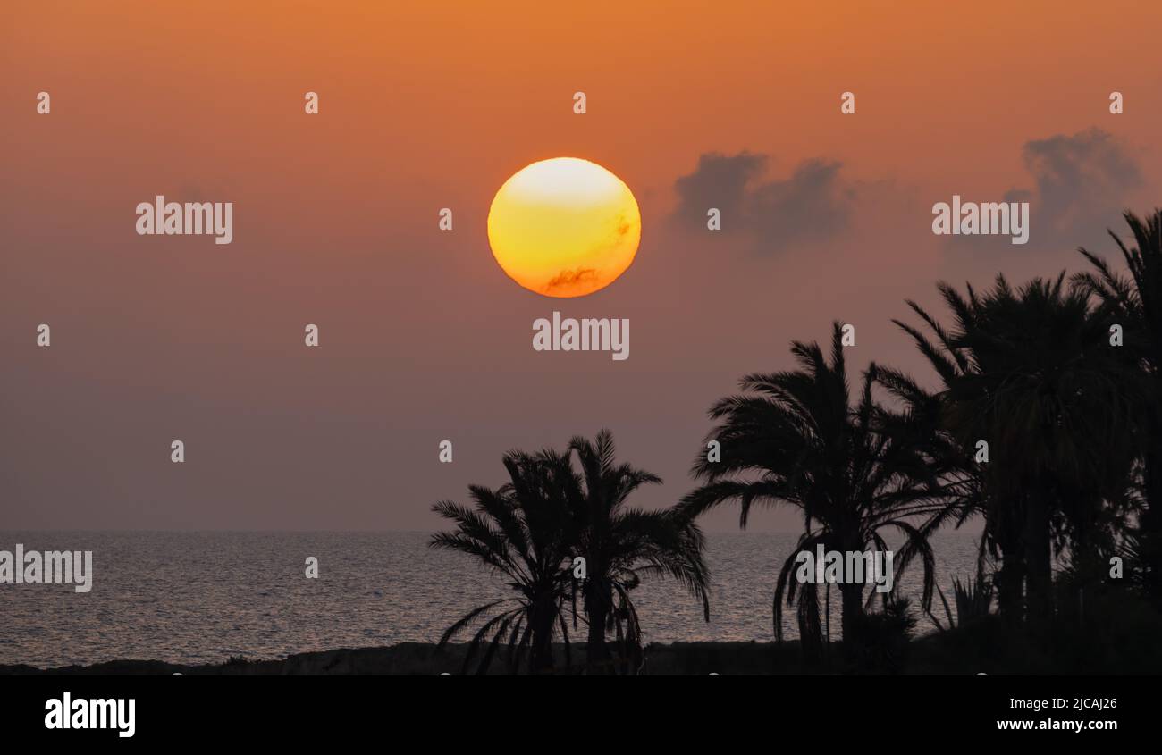 Early morning, sunrise among the palm trees of a tropical island Stock ...