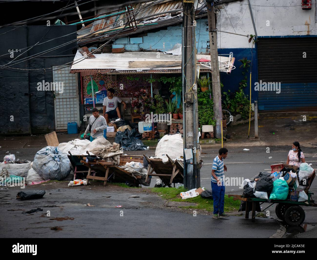 Medellin, Antioquia, Colombia - March 6 2022: Small Plant Store in ...