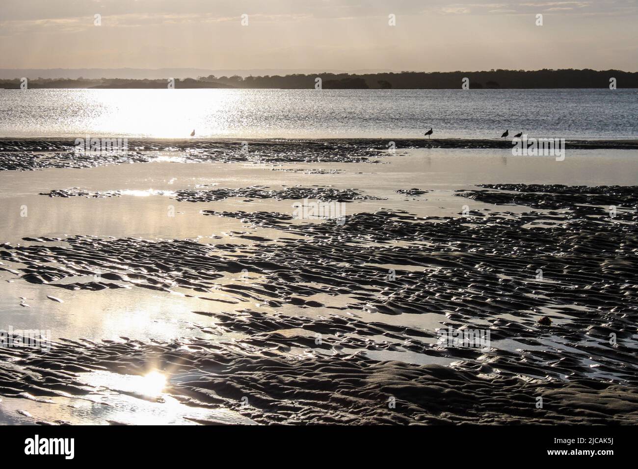 Mudflats at dusk with lens flare and far off coast at other side of bay ...