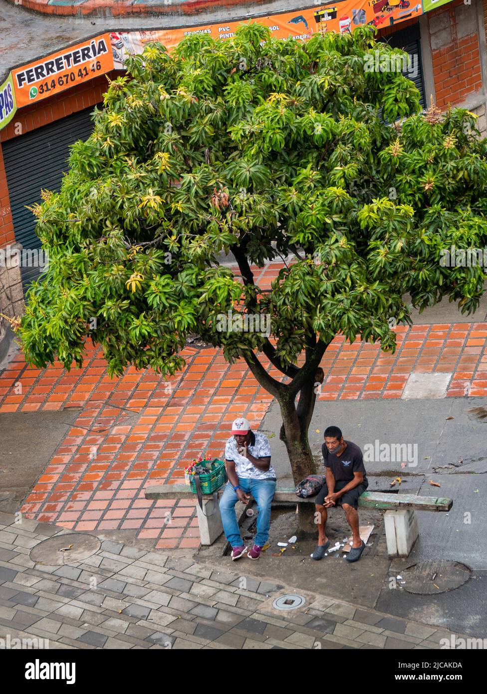 Two men sitting under tree hi-res stock photography and images - Alamy