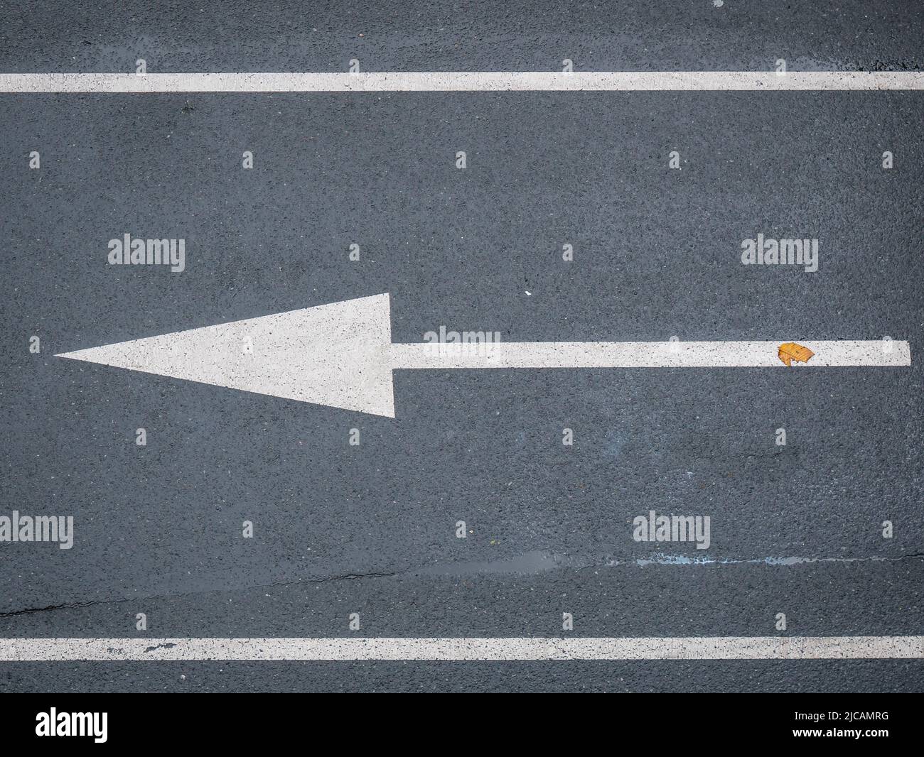 White Arrow Symbol in a Straight Direction on an Asphalted Avenue Stock ...