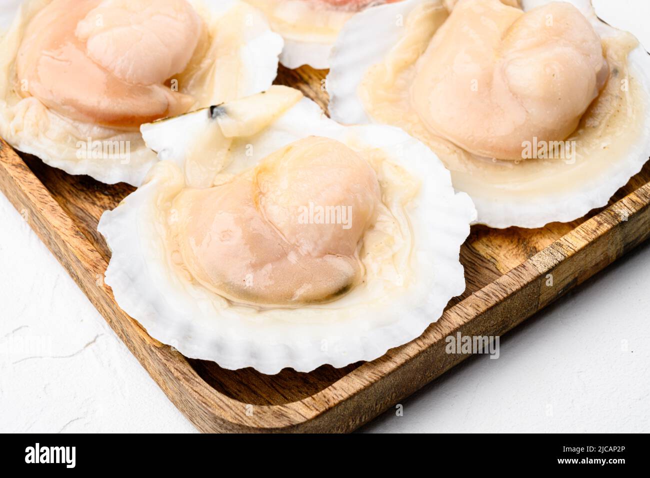 Fresh scallops for a baked recipe set, on white stone table background ...