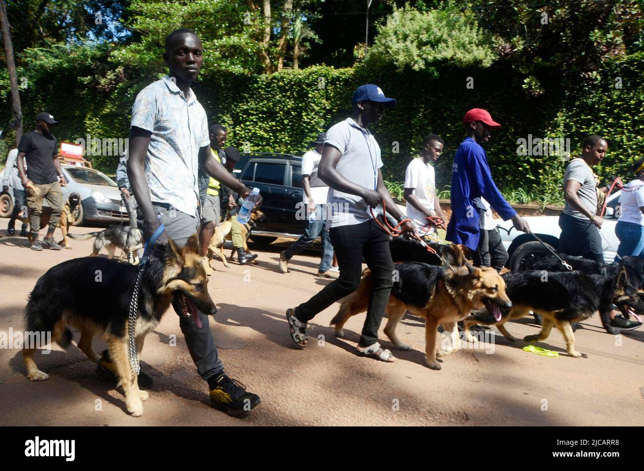 Kampala, Uganda. 11th June, 2022. People participate in a dog walk ...