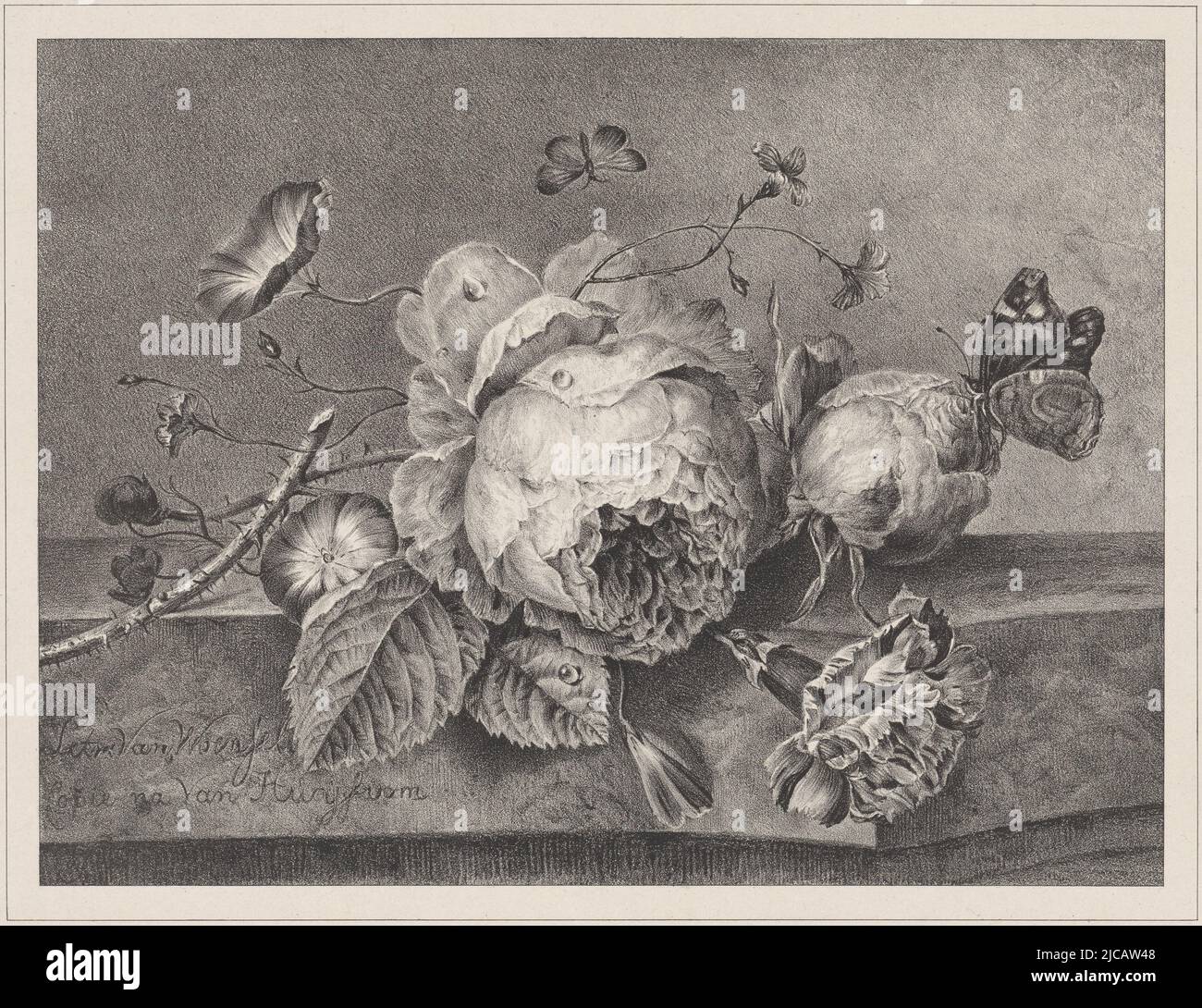 Petronella van woensel hi-res stock photography and images - Alamy