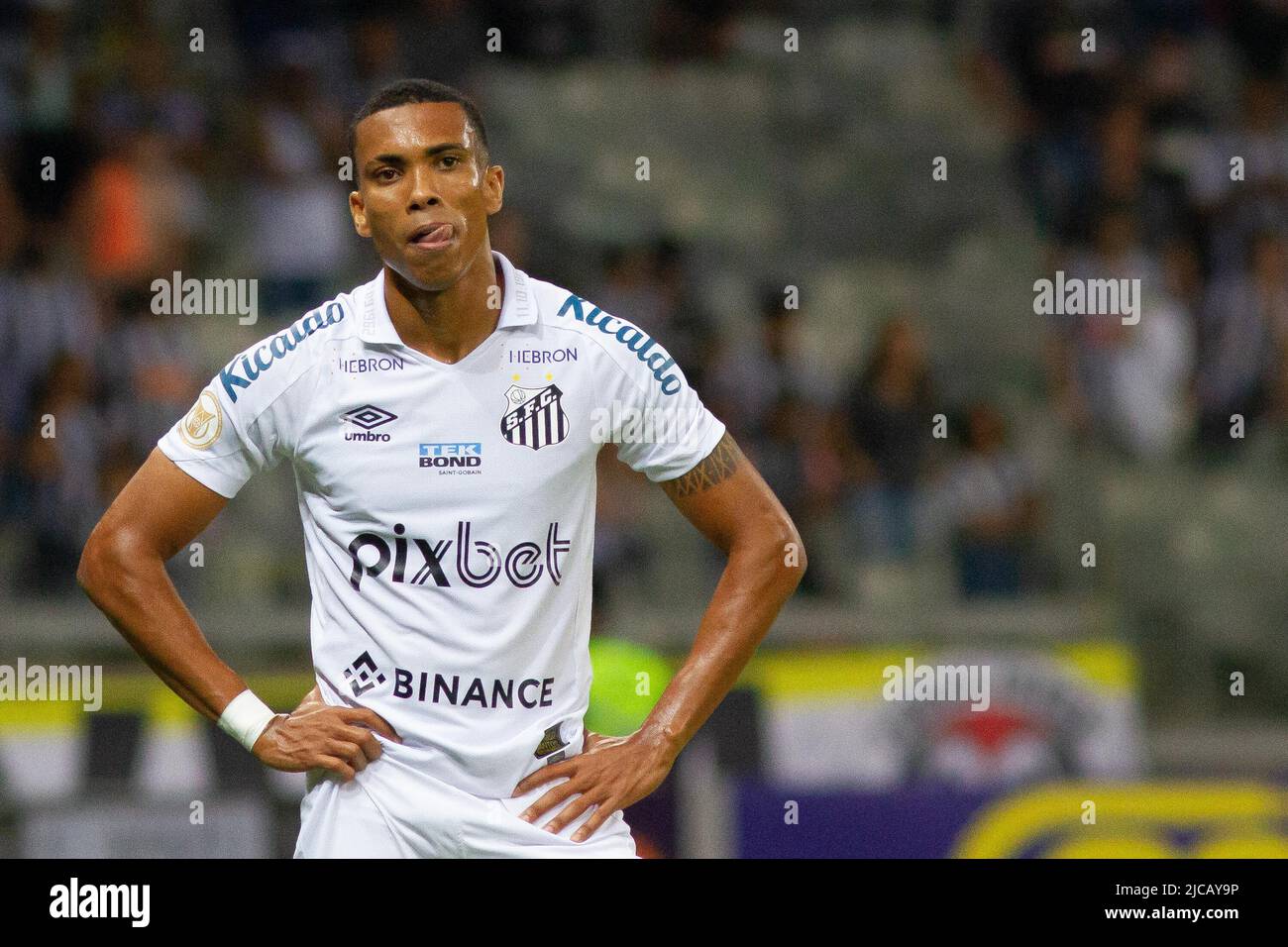MG - Belo Horizonte - 06/11/2022 - BRAZILIAN A 2022 ATLETICO -MG X ...