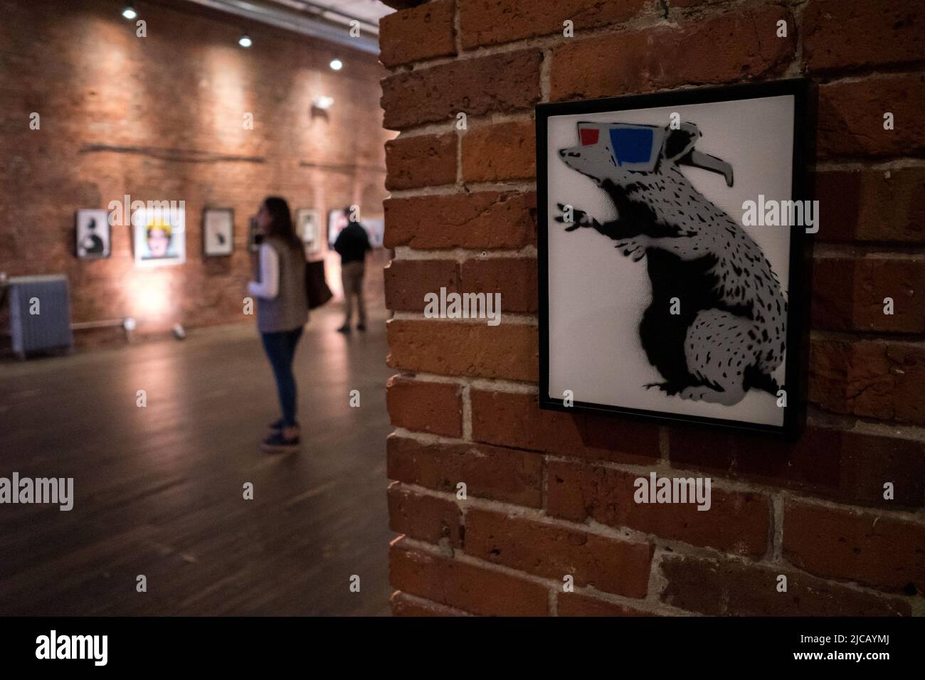 Seattle, USA. 11th Jun, 2022. BanksyLand Unauthorized and Unmasked. The ...