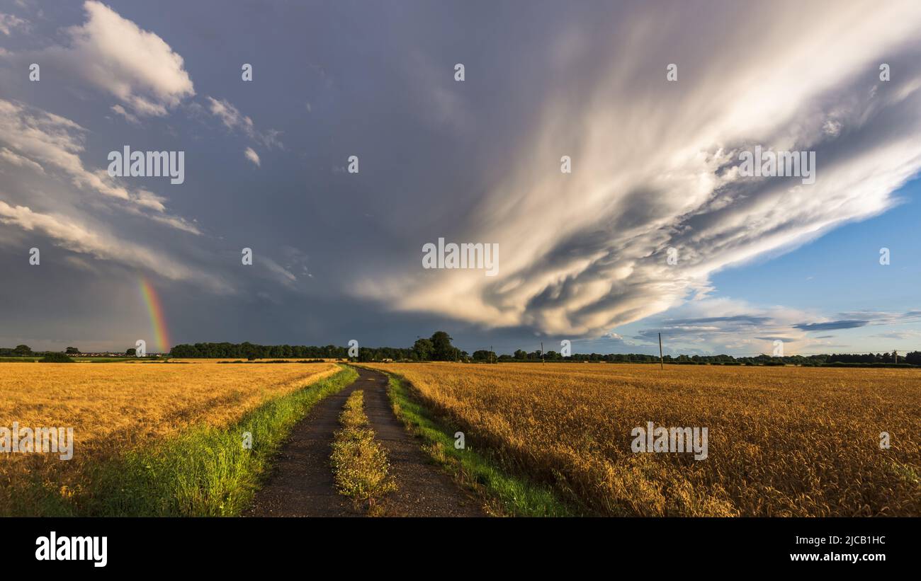 A selection of stunning storm images from around newark on trent hi-res ...