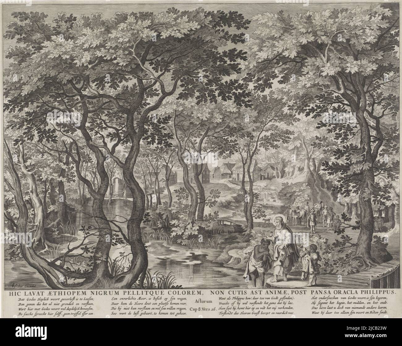 Entourage forest landscape hi-res stock photography and images - Alamy