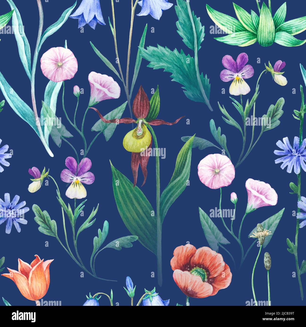 Seamless watercolor floral pattern with wild field and meadow plants ...