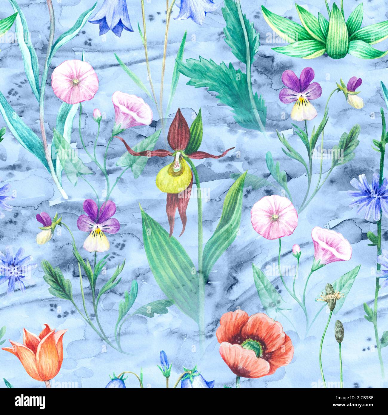 Seamless watercolor floral pattern with wild field and meadow plants ...