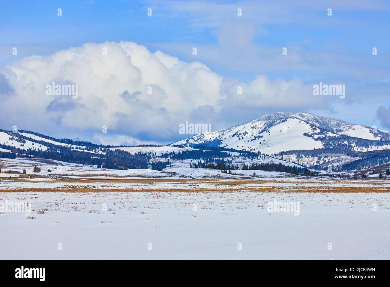 Stunning green forest mountain range hi-res stock photography and ...
