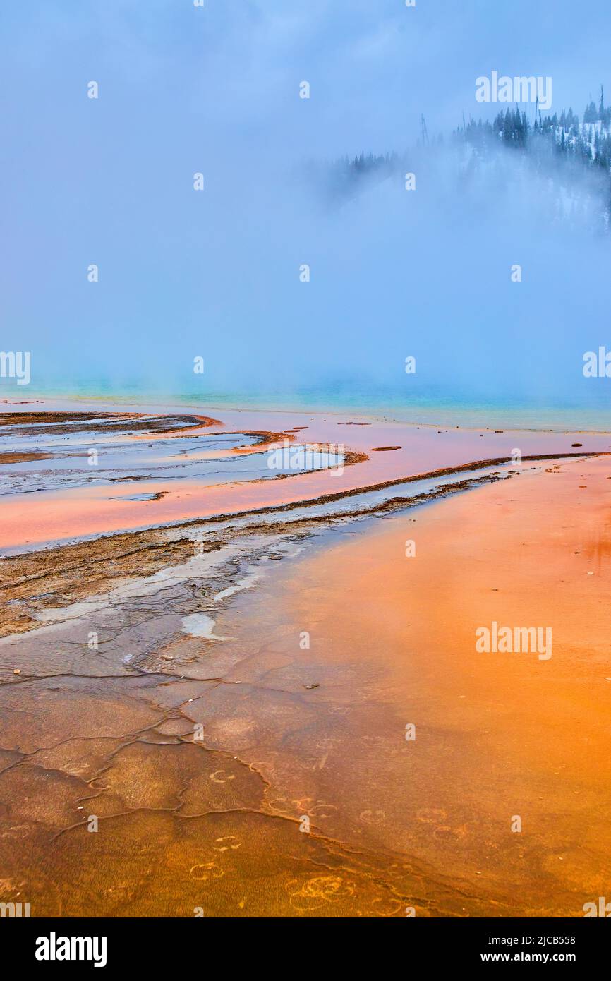 Orange colors in front of steamy Grand Prismatic Spring of Yellowstone ...