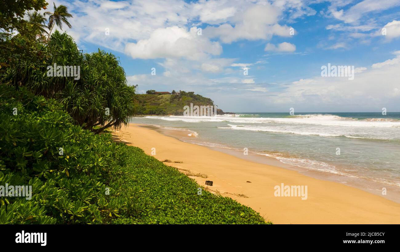 Aerial view of sandy beach with palm trees and ocean surf with waves ...
