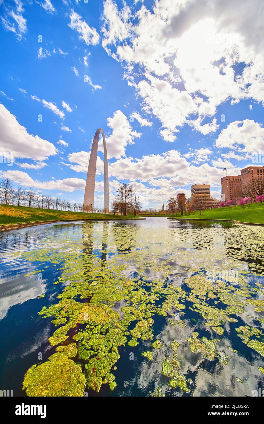 Pond covered in algae and moss next to St. Louis Gateway Arch in early ...