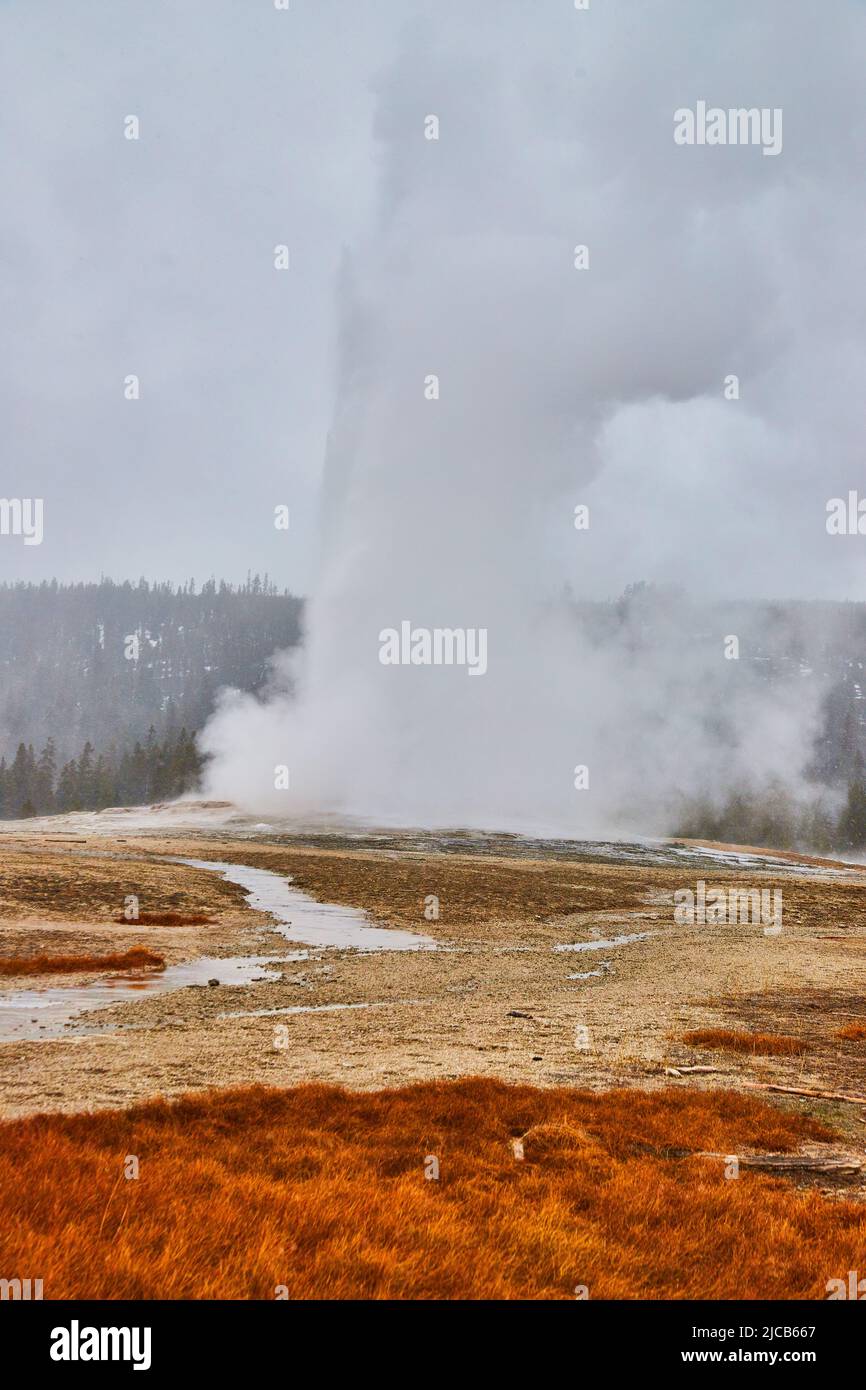 Old Faithful iconic Yellowstone geyser in winter Stock Photo - Alamy