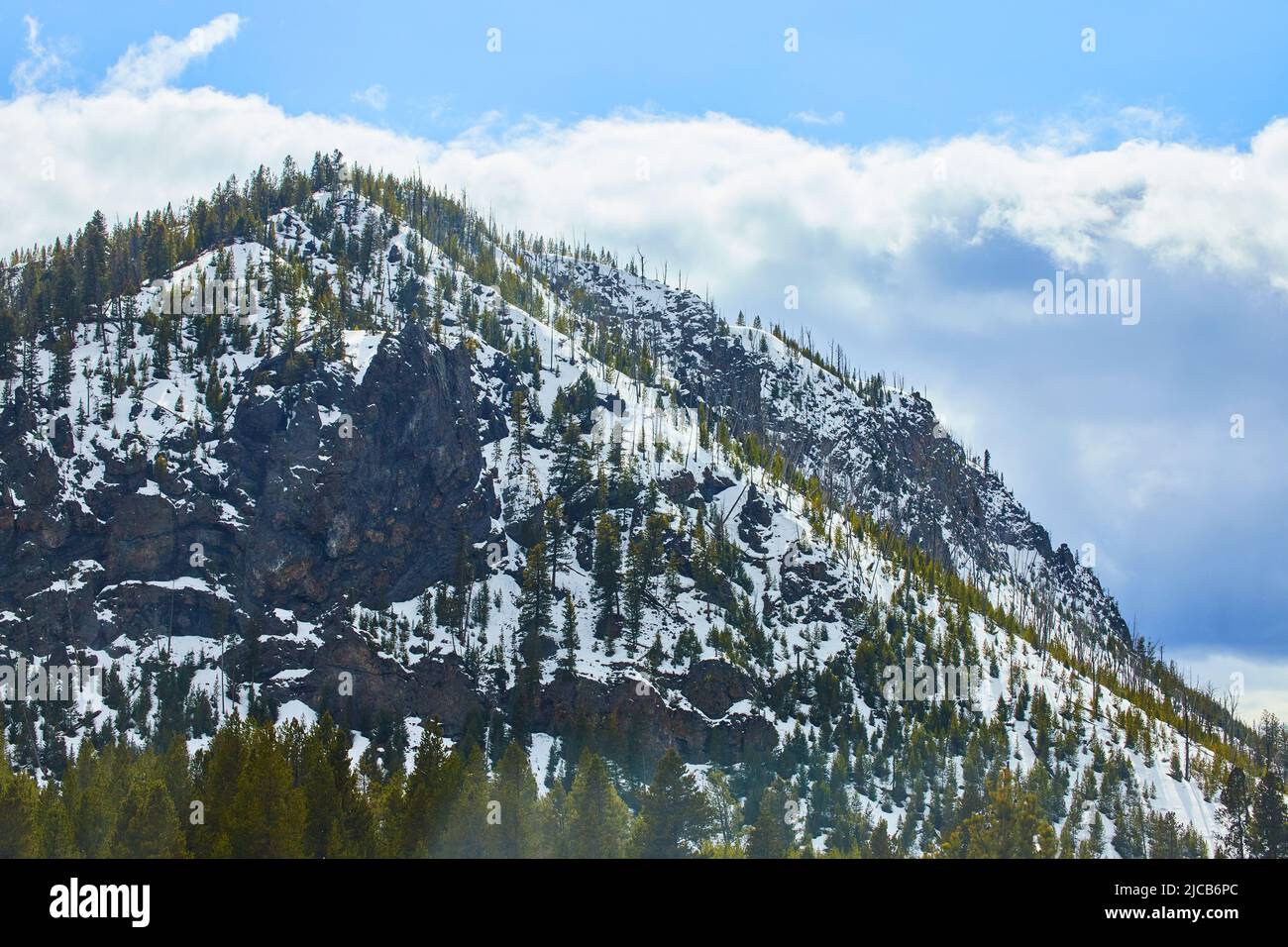 Pine trees cover mountain in winter with snow Stock Photo - Alamy
