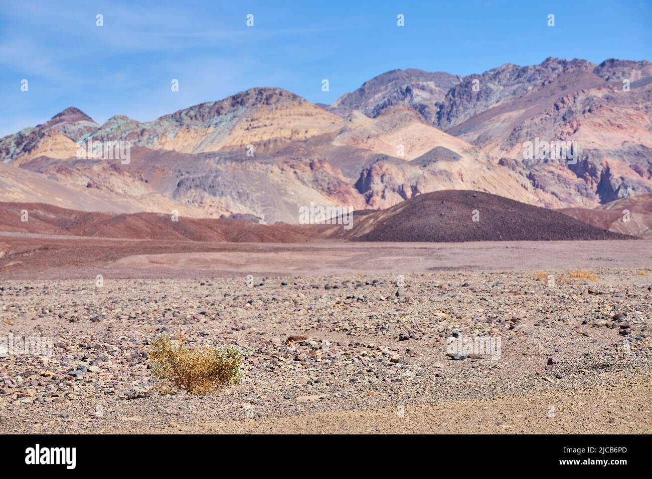 Lone shrub in an empty desert plain with mountains in background Stock ...