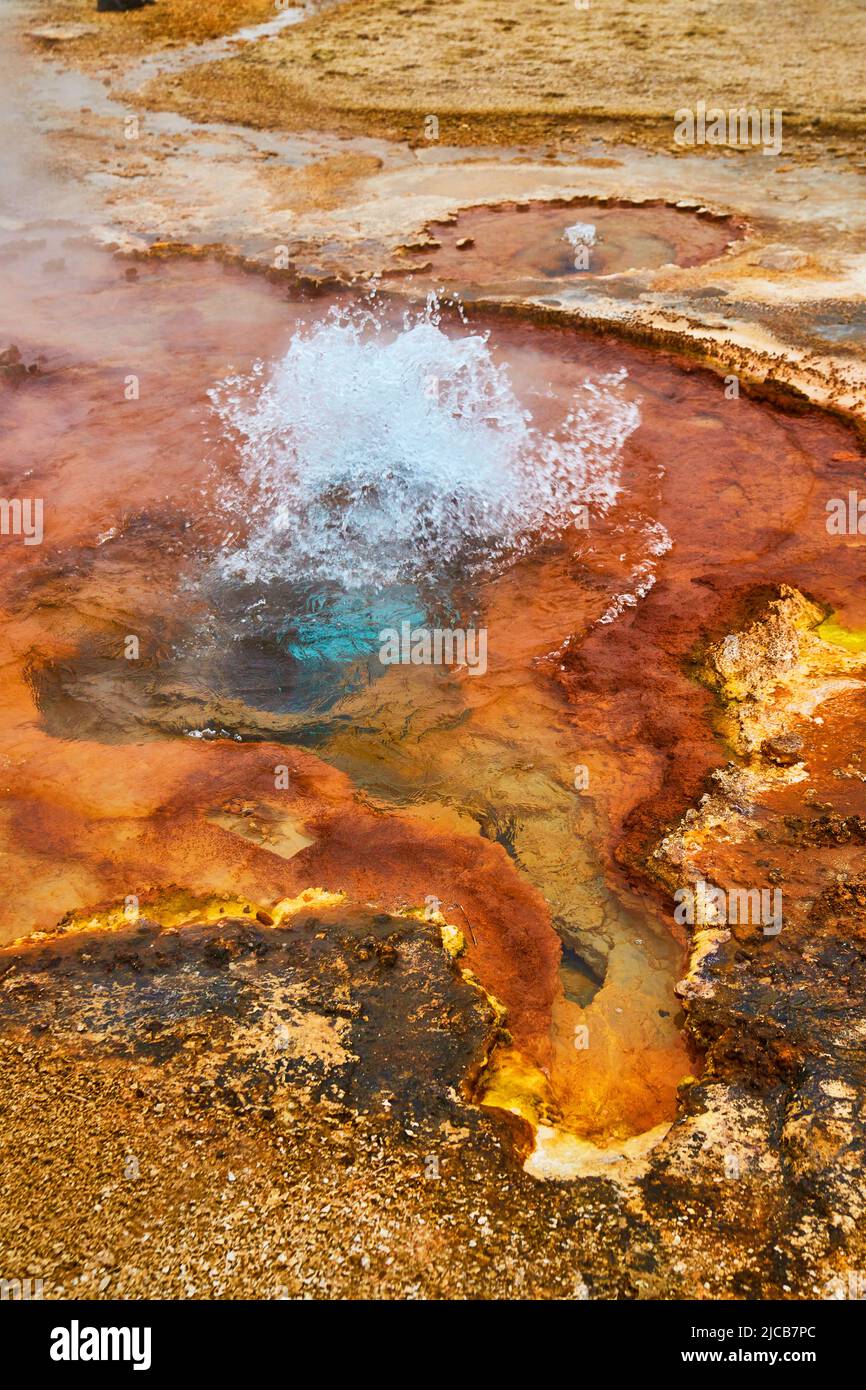 Small and colorful Yellowstone geyser bubbling in spring Stock Photo ...
