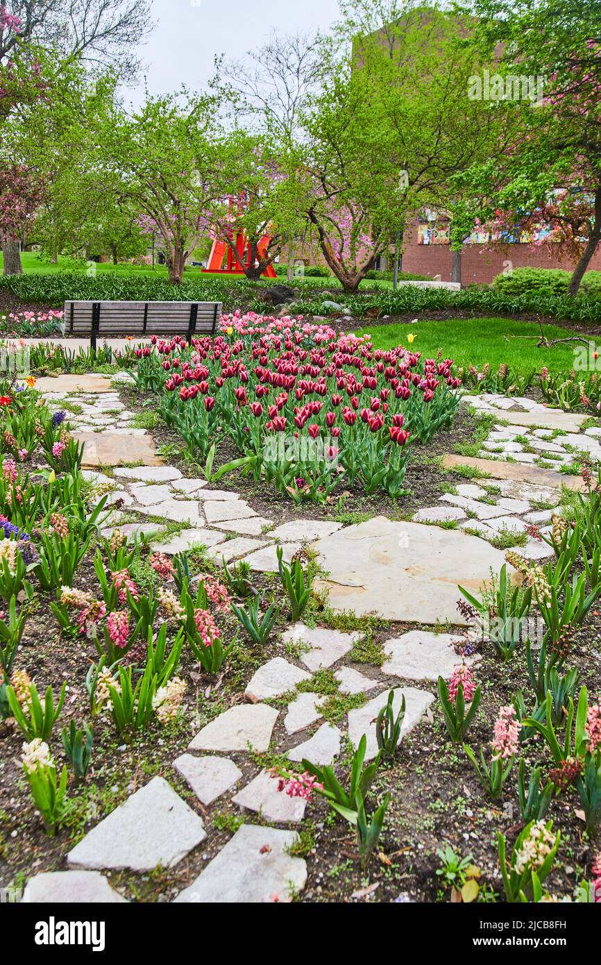 Stone walking path through spring tulip gardens in downtown park Stock ...