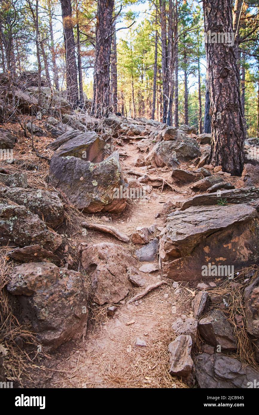 Steep walking path through rocks with pine trees Stock Photo - Alamy