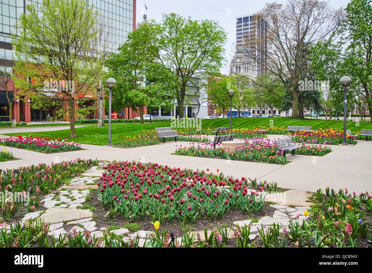 Stunning spring tulip gardens in downtown Fort Wayne, Indiana Stock ...