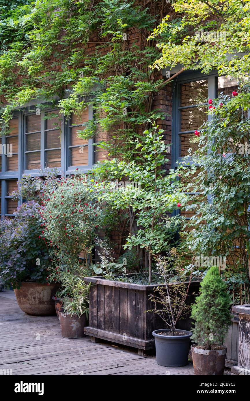 Landscaping of urban public spaces with different potted plants ...