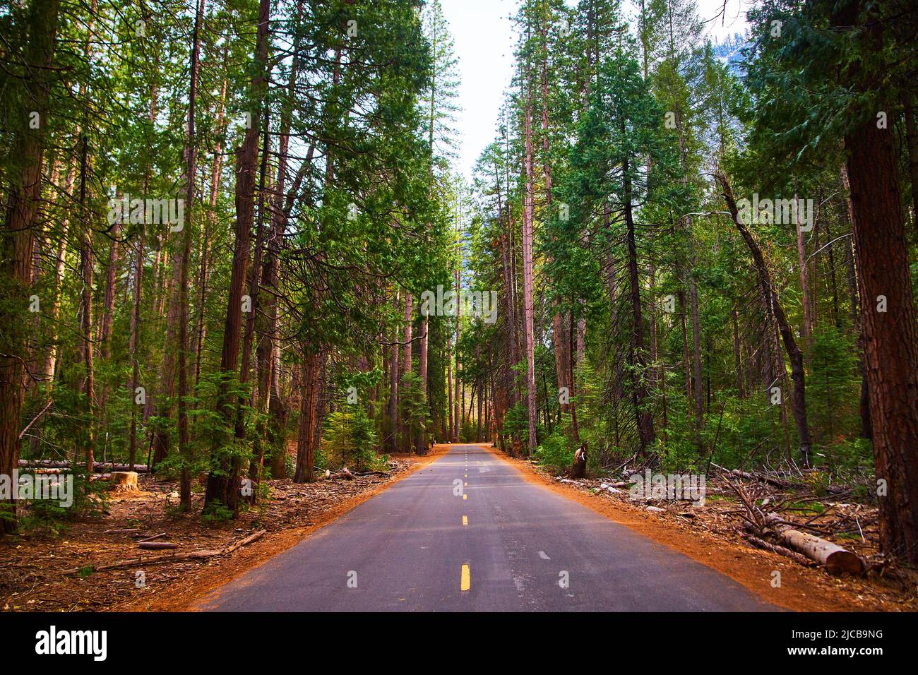 Paved rural road hi-res stock photography and images - Alamy
