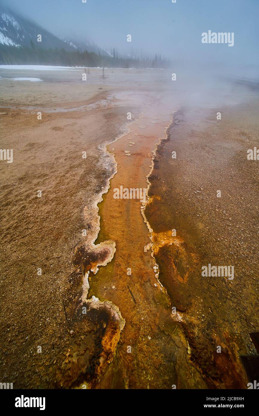 Path of acidic waters in Yellowstone leading into unknown steam Stock ...