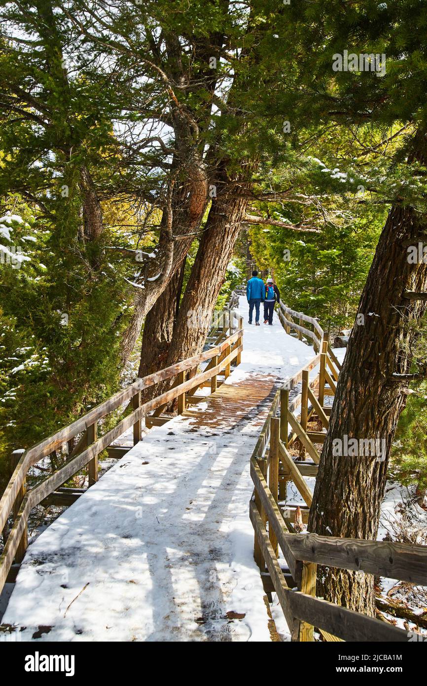 Snow-covered boardwalk trail through the woods with pair of tourists ...