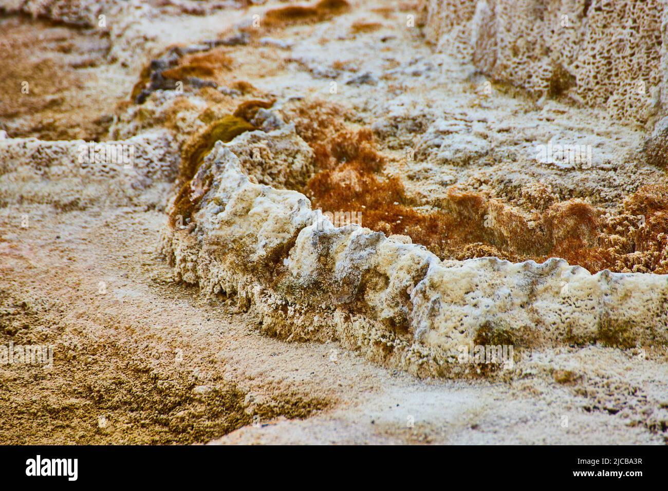 Macro of terrace layers at Yellowstone hot springs Stock Photo - Alamy