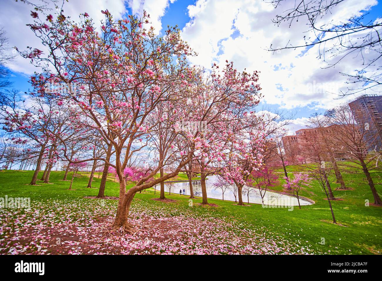 Flowers next to pond hi-res stock photography and images - Alamy