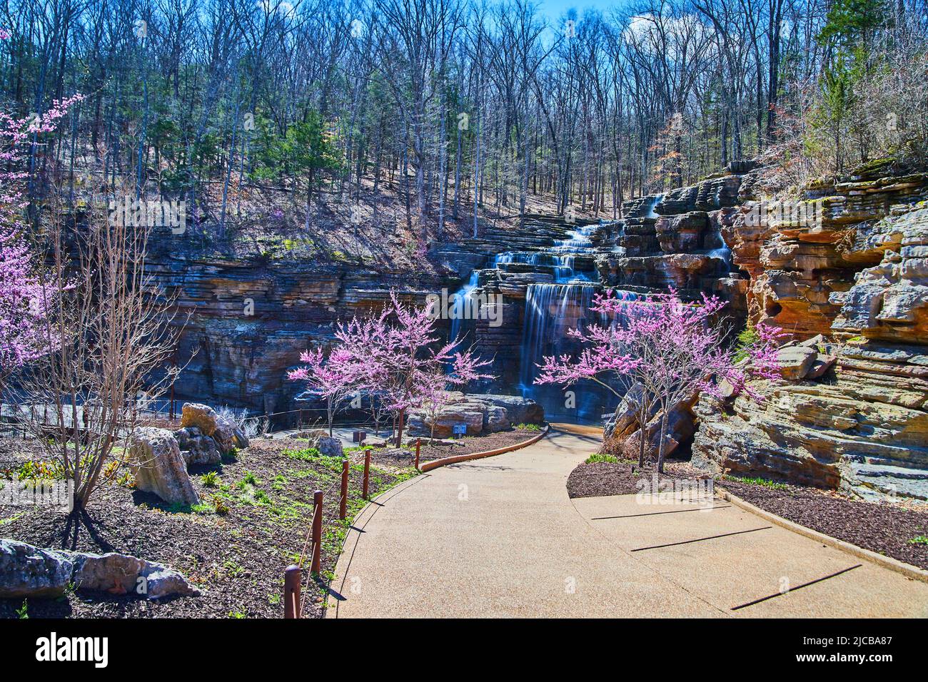 Paved path leading to waterfalls surrounded by cherry trees Stock Photo ...