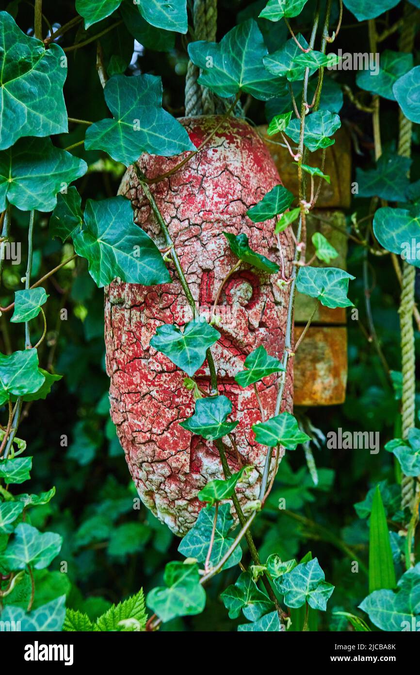 The bullet tree hi-res stock photography and images - Alamy