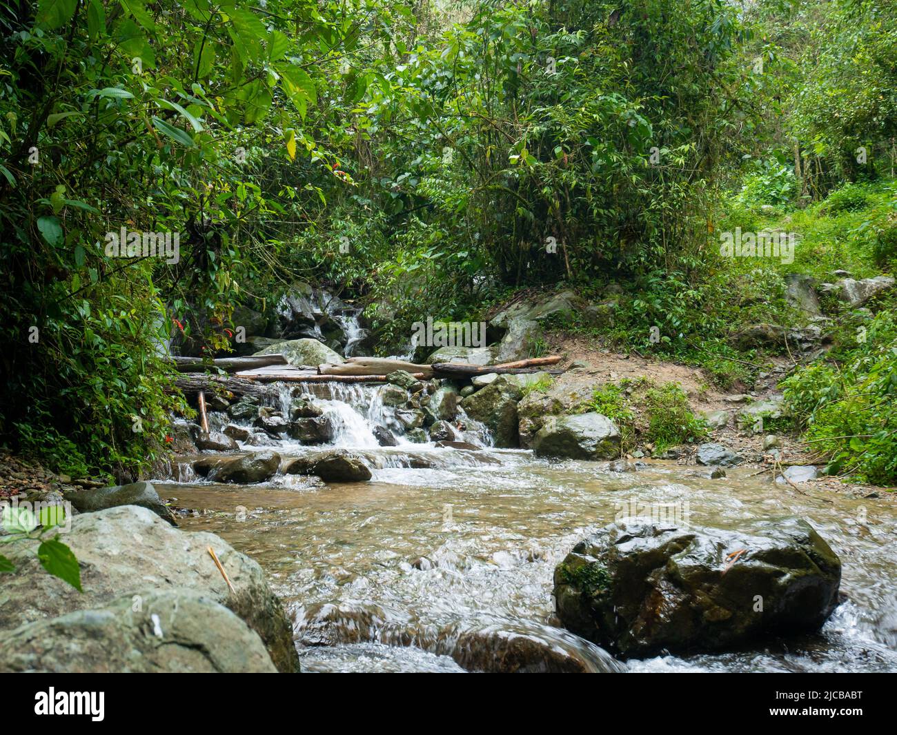 Lots of Vegetation, Plants, Moss on the Rocks at Waterfalls near to the ...
