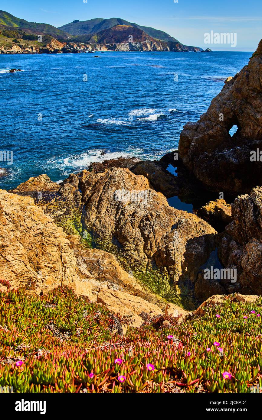 Spring flowers in foreground with cliffs and ocean waves meeting Stock ...