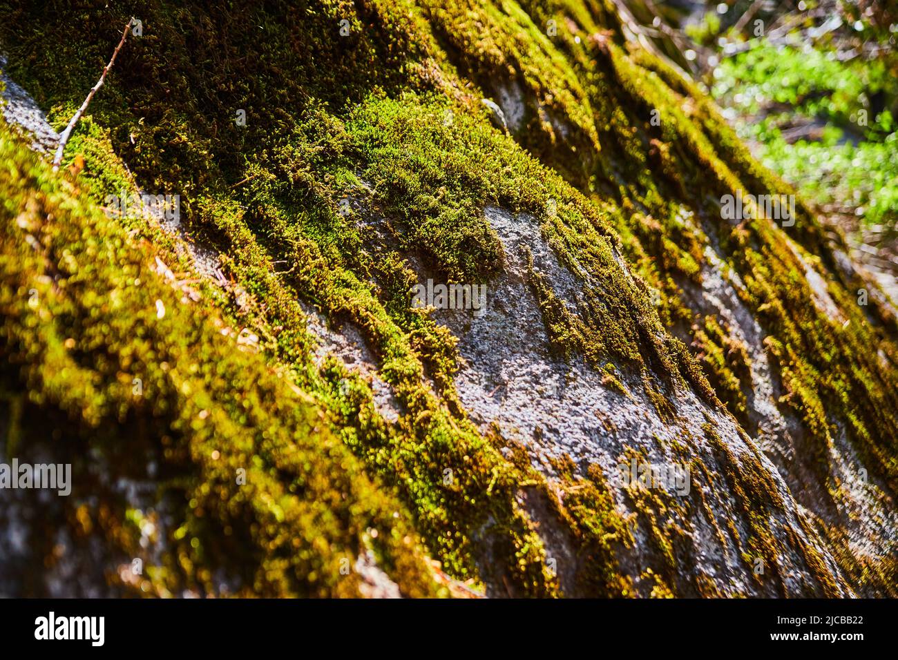 Coated rocks hi-res stock photography and images - Alamy