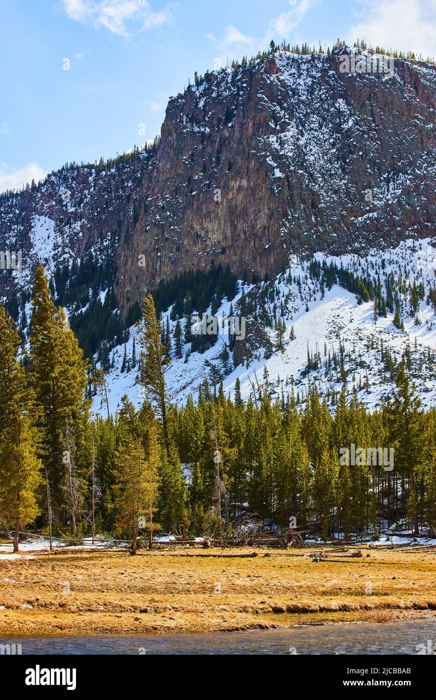 Large snow-covered mountain with pine trees at base Stock Photo - Alamy