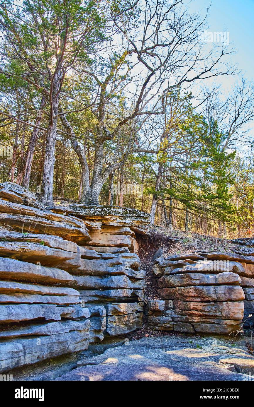 Layers of rocks in cliffs with spring forest on top Stock Photo - Alamy